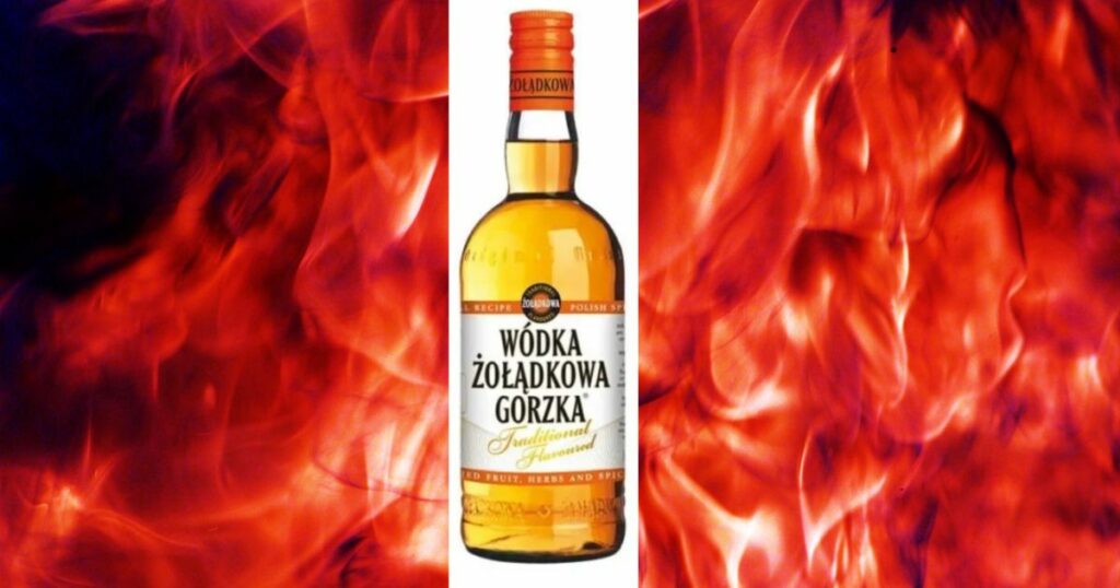 Top 10 Polish Vodka Brands That Will Make Your Taste Buds Dance ...