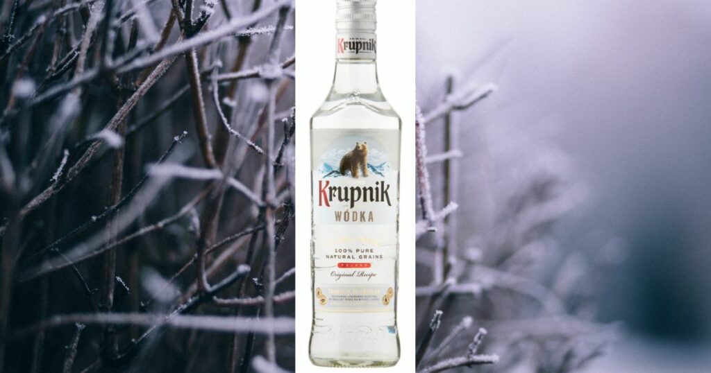 Top 10 Polish Vodka Brands That Will Make Your Taste Buds Dance ...