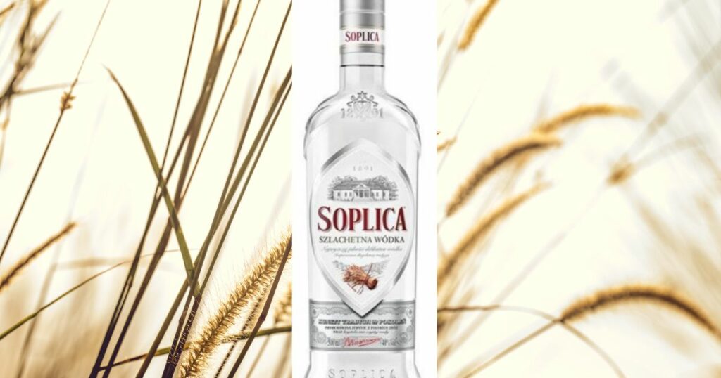 Top 10 Polish Vodka Brands That Will Make Your Taste Buds Dance ...