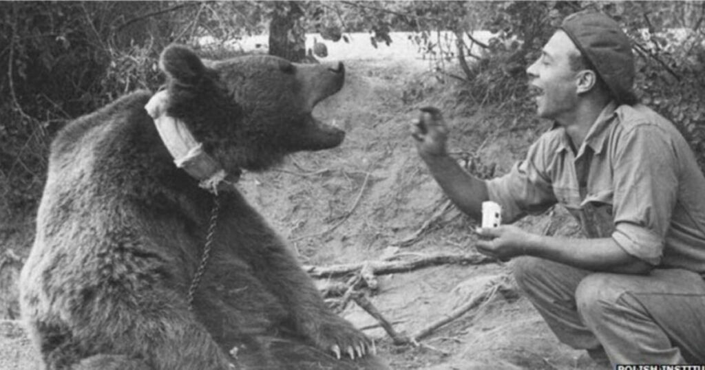 The Legendary Story of Wojtek the Soldier Bear | Beauty of Poland