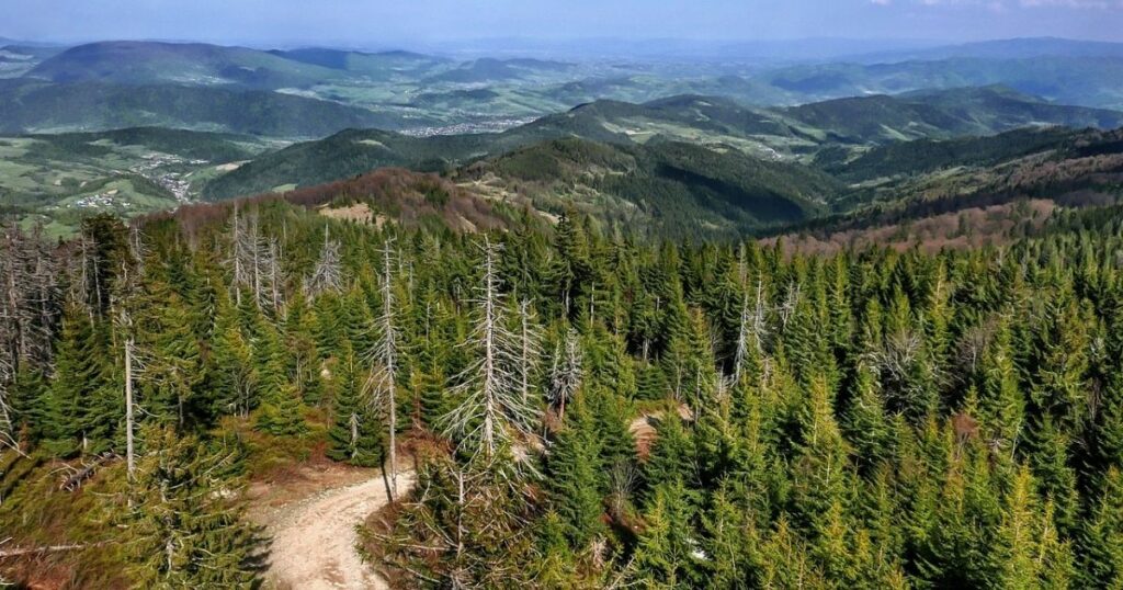 Top 10 Must-Visit Enchanting Mountain Ranges in Poland | Beauty of Poland