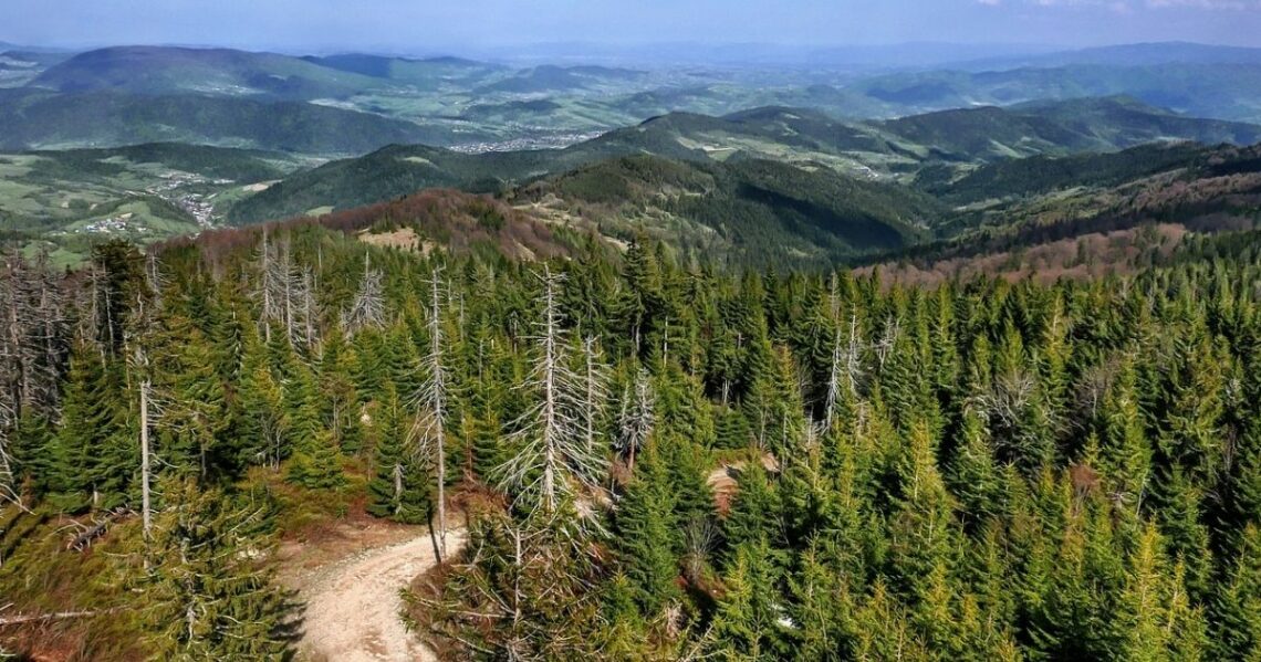 Top 10 Must-Visit Enchanting Mountain Ranges in Poland | Beauty of Poland
